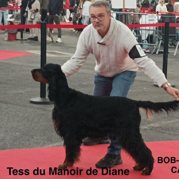 Exposition de Poitiers, le 18 octobre